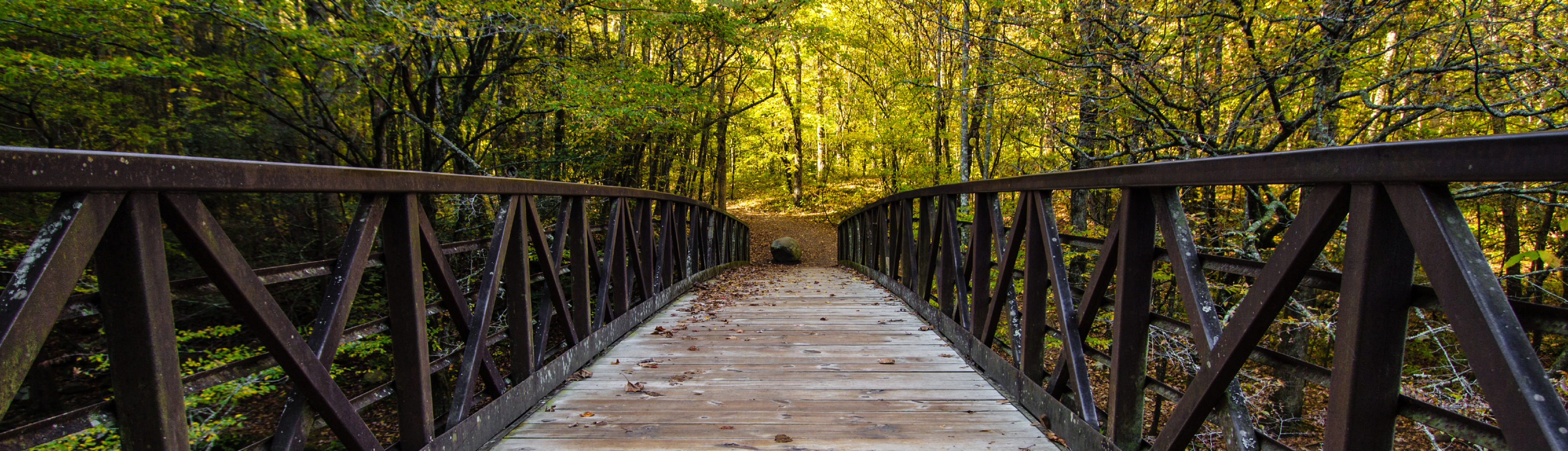 Debczak Wealth Management of Meridian Wealth Management Group - Our Process | Doylestown, PA